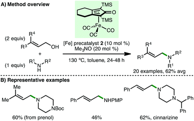 Recent advances in homogeneous borrowing hydrogen catalysis using earth ...