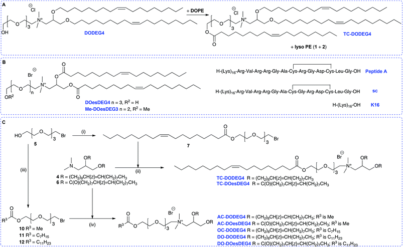 The discovery and enhanced properties of trichain lipids in ...