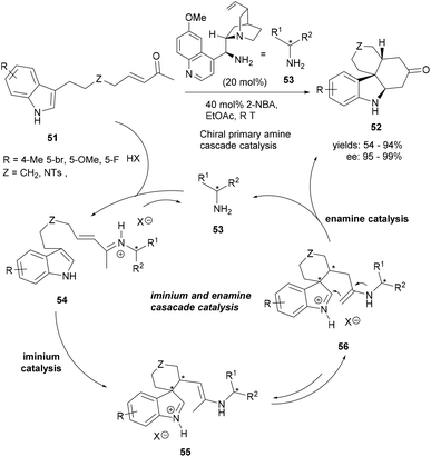 Cascade reaction based synthetic strategies targeting biologically ...
