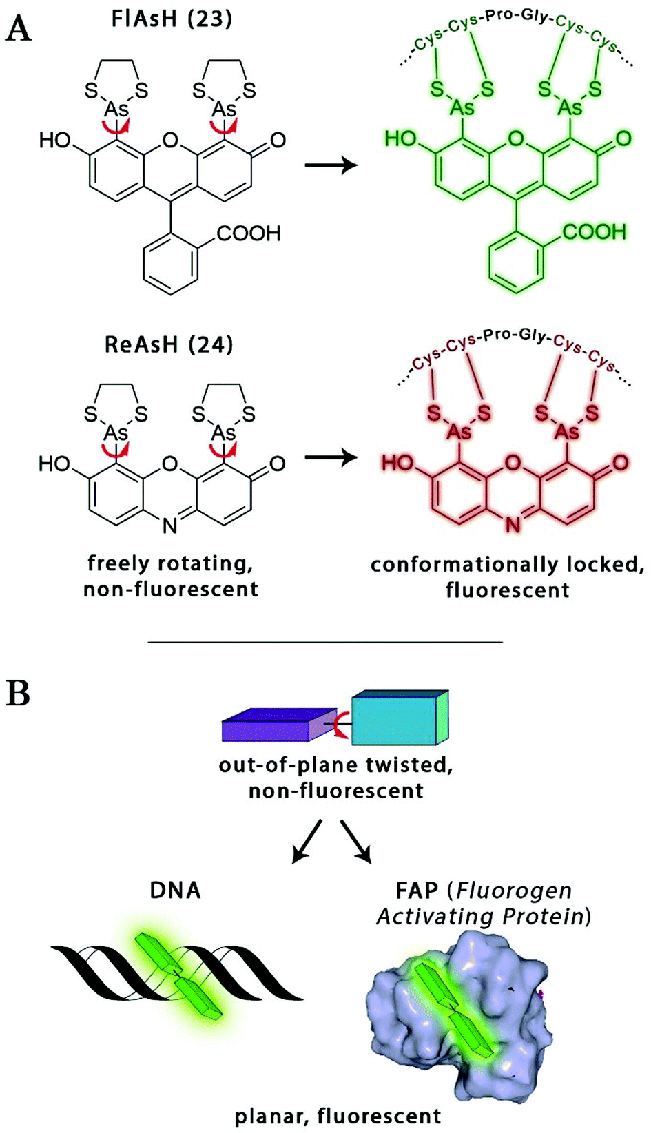 Fluorogenic Probes For Super Resolution Microscopy Organic