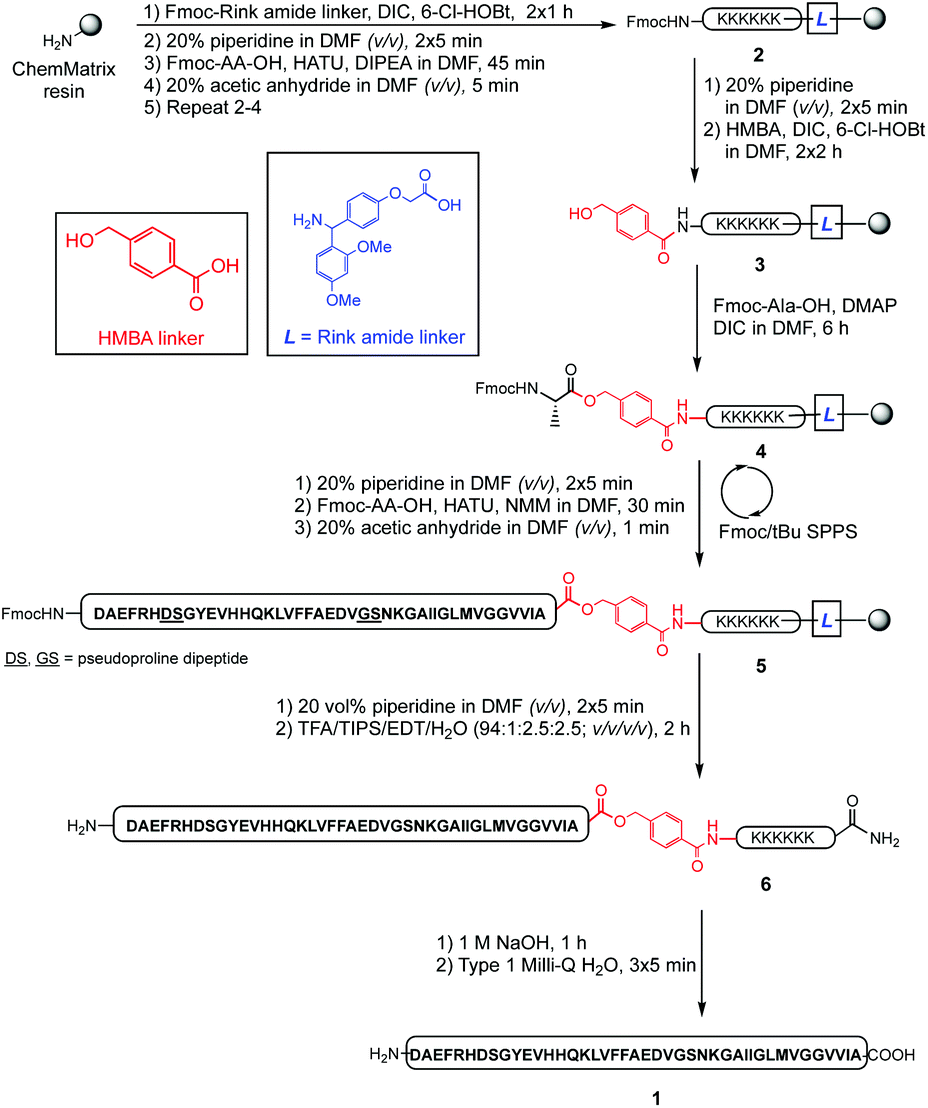 Efficient synthesis and characterisation of the amyloid beta peptide ...