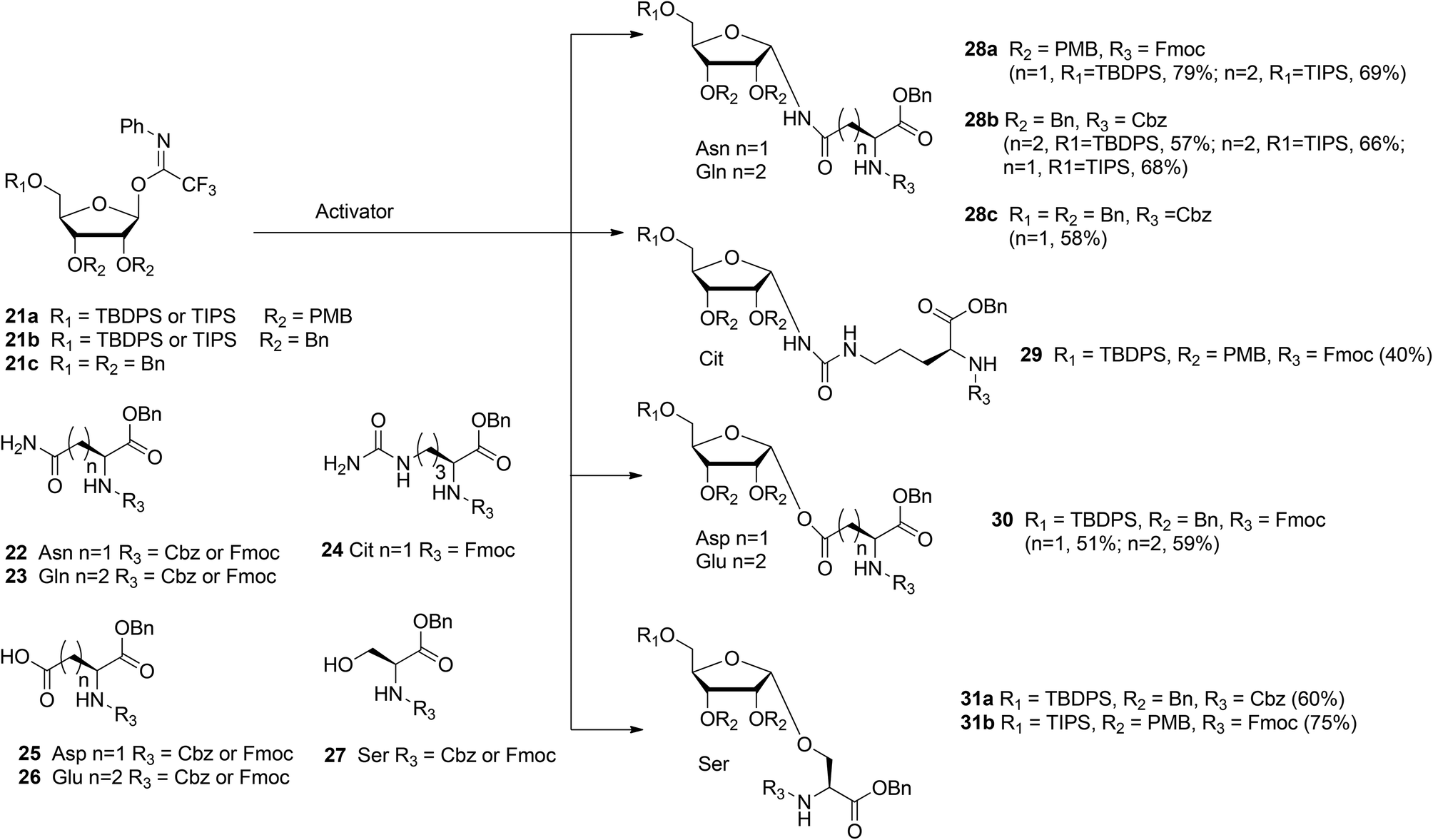 Chemical ADP-ribosylation: mono-ADPr-peptides and oligo-ADP-ribose ...