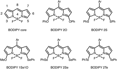 Spectral shifts of BODIPY derivatives: a simple continuous model ...