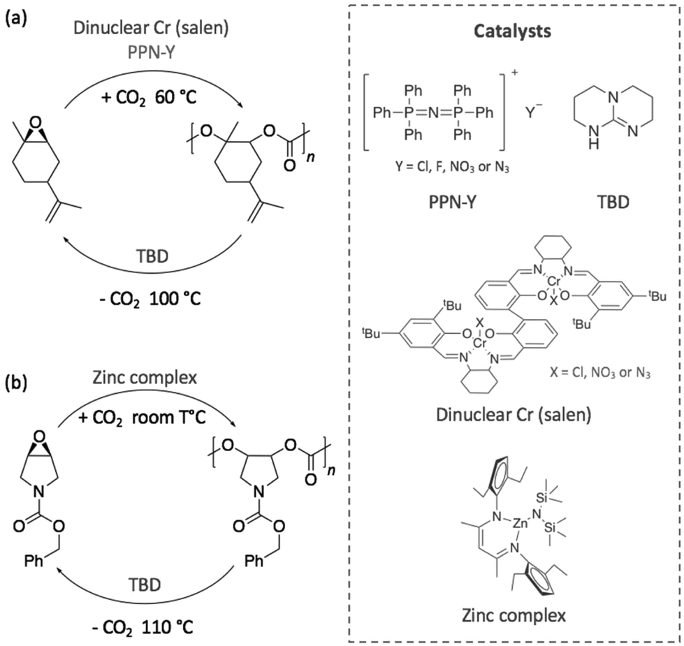 Organocatalysis for depolymerisation - Polymer Chemistry (RSC ...