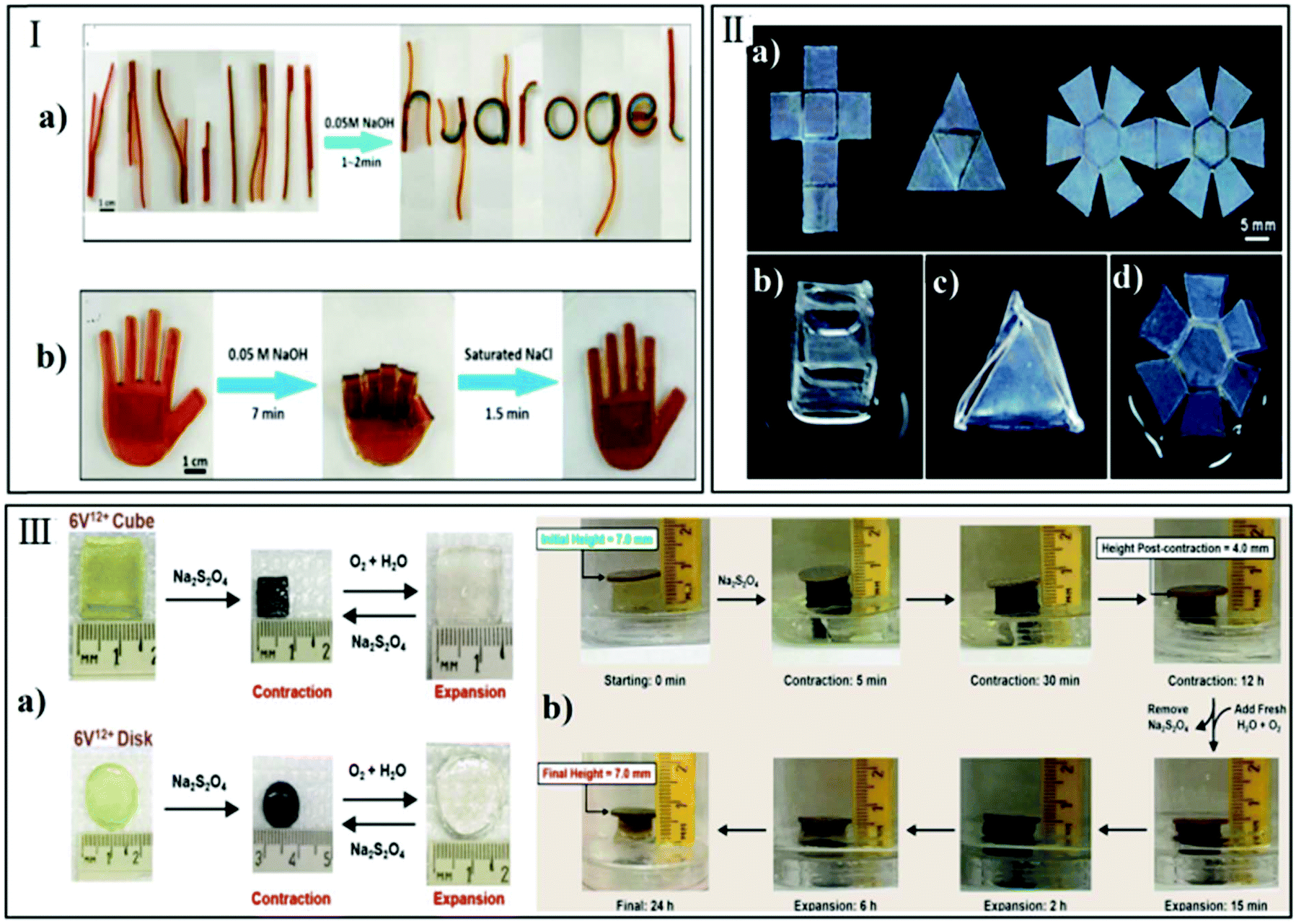 Trends in polymeric shape memory hydrogels and hydrogel actuators ...
