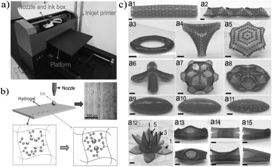 Trends in polymeric shape memory hydrogels and hydrogel actuators ...