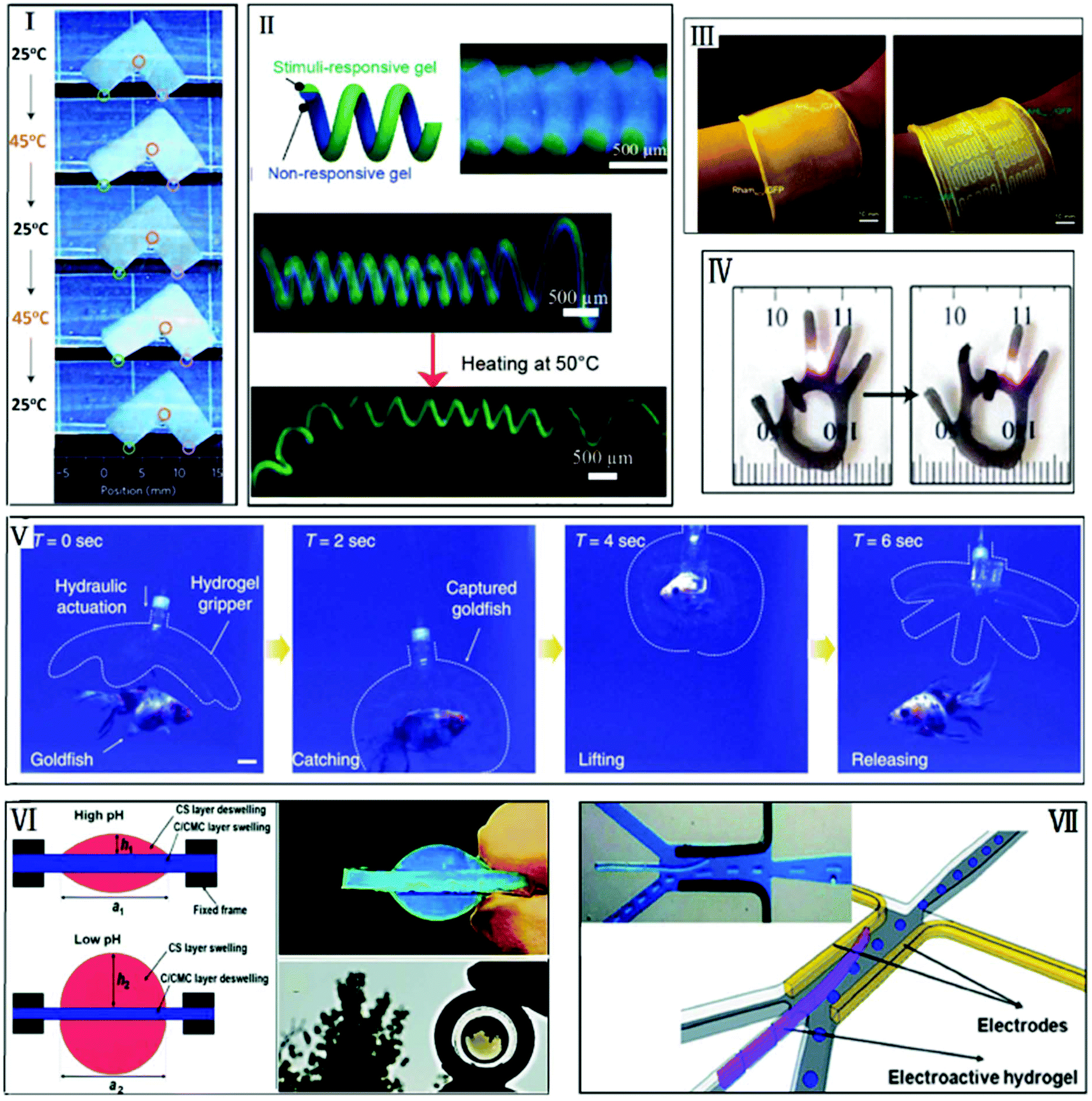 Trends in polymeric shape memory hydrogels and hydrogel actuators ...