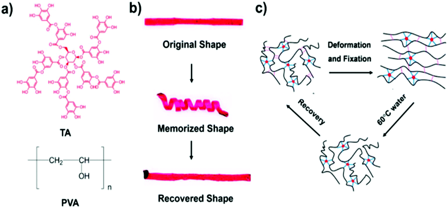 Trends in polymeric shape memory hydrogels and hydrogel actuators ...