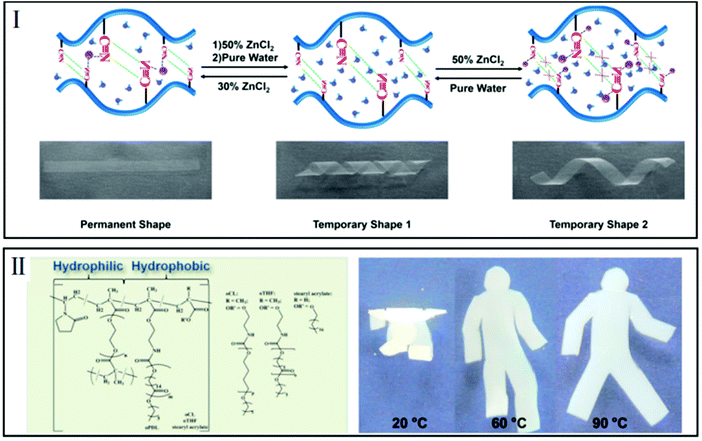 Trends in polymeric shape memory hydrogels and hydrogel actuators ...