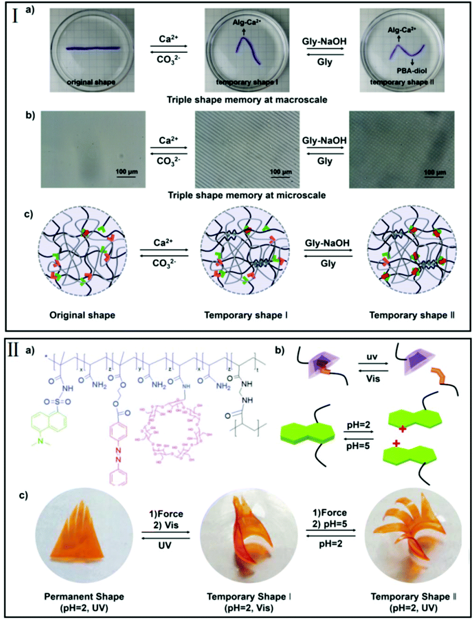Trends in polymeric shape memory hydrogels and hydrogel actuators ...