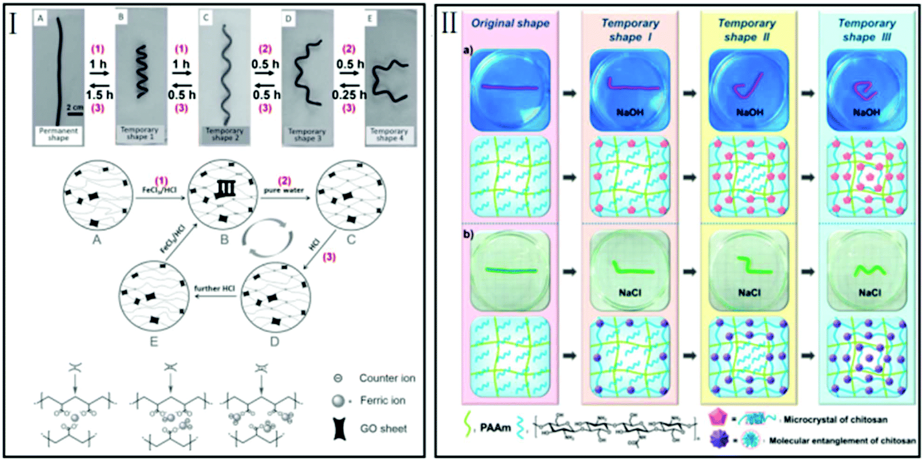 Trends in polymeric shape memory hydrogels and hydrogel actuators ...
