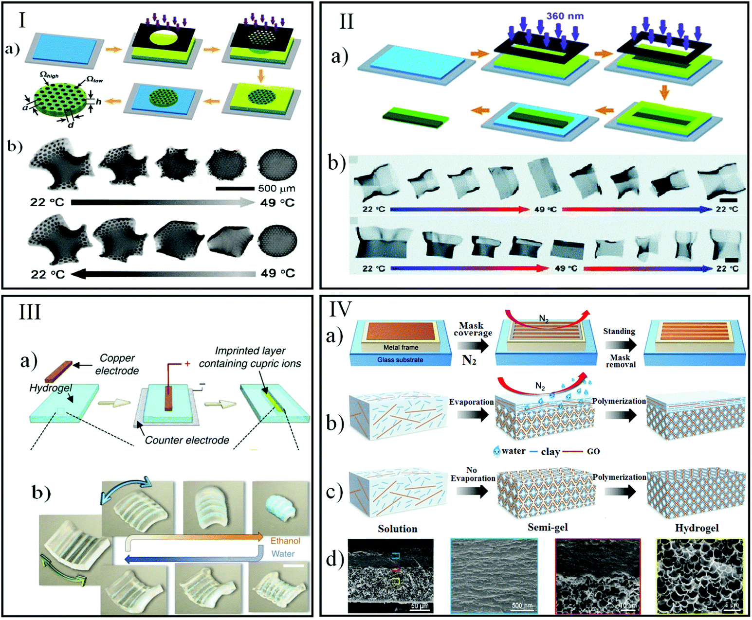 Trends in polymeric shape memory hydrogels and hydrogel actuators ...