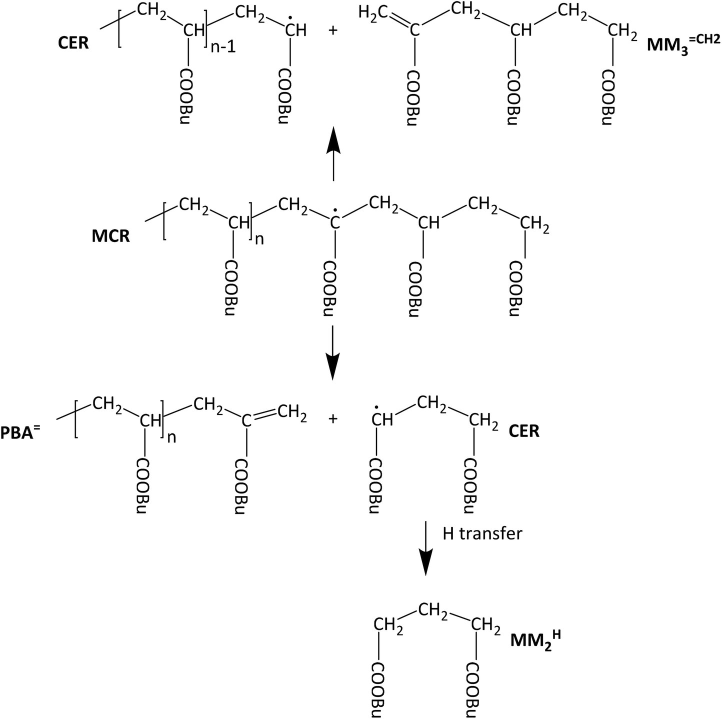 Identification of β scission products from free radical polymerizations ...