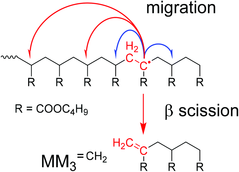 Identification of β scission products from free radical polymerizations ...