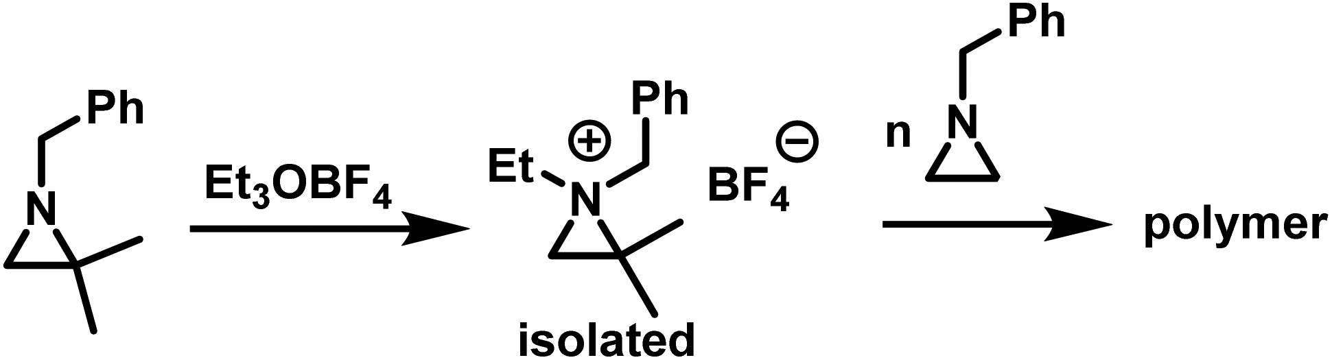 Aziridines and azetidines: building blocks for polyamines by anionic ...