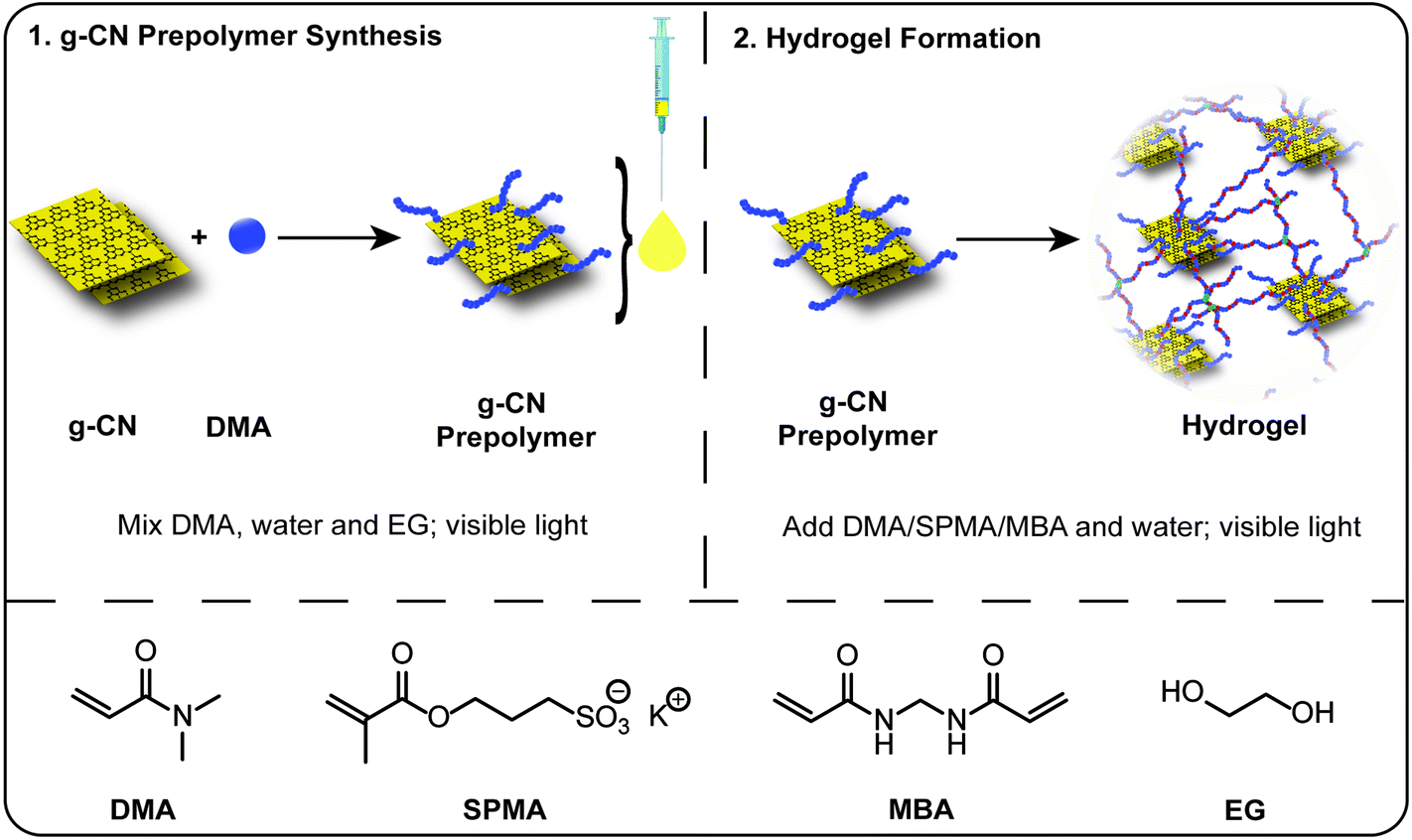 Polymer grafted graphitic carbon nitrides as precursors for reinforced ...