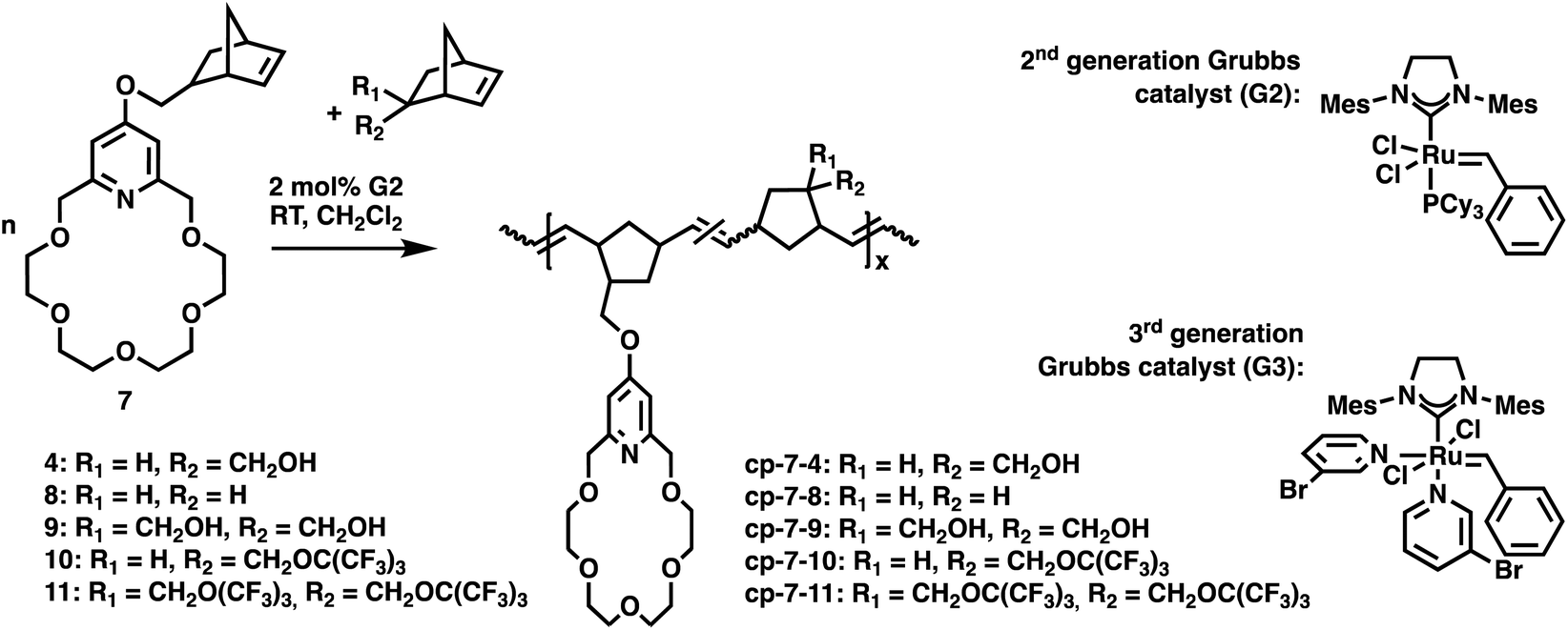Synthesis and supramolecular assembly of fluorinated biogenic amine ...