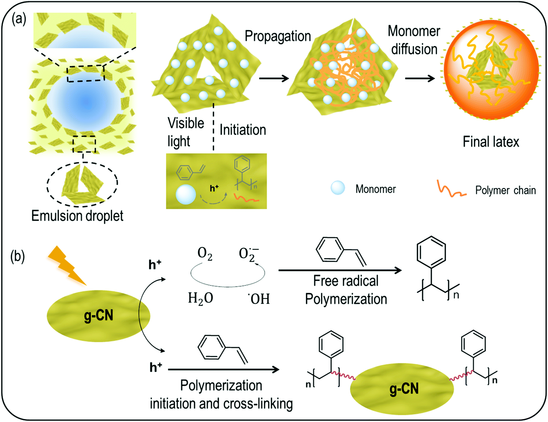 Visible-light induced emulsion photopolymerization with carbon nitride ...