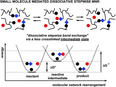 Dynamic covalent chemistry in polymer networks: a mechanistic ...