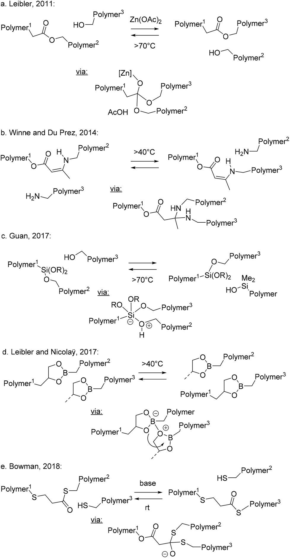 Dynamic covalent chemistry in polymer networks: a mechanistic ...