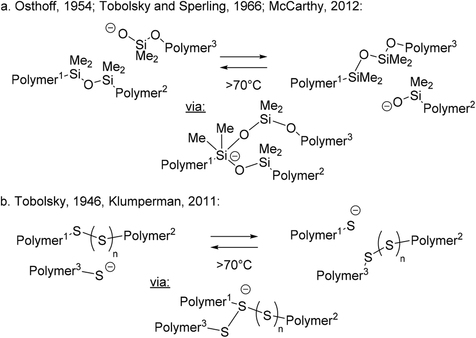 Dynamic covalent chemistry in polymer networks: a mechanistic ...