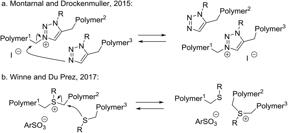 Dynamic covalent chemistry in polymer networks: a mechanistic ...