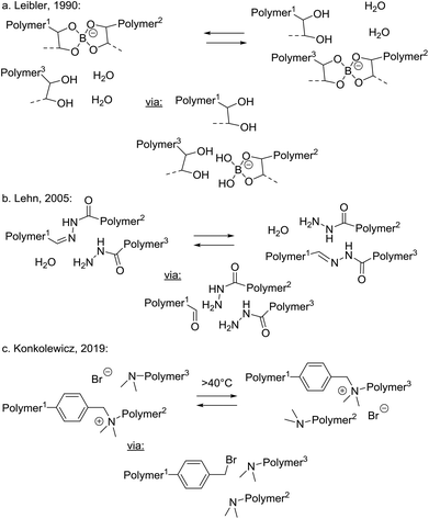 Dynamic covalent chemistry in polymer networks: a mechanistic ...