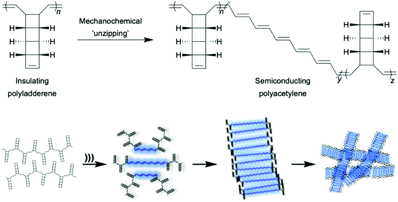 Correction: Empowering mechanochemistry with multi-mechanophore polymer ...