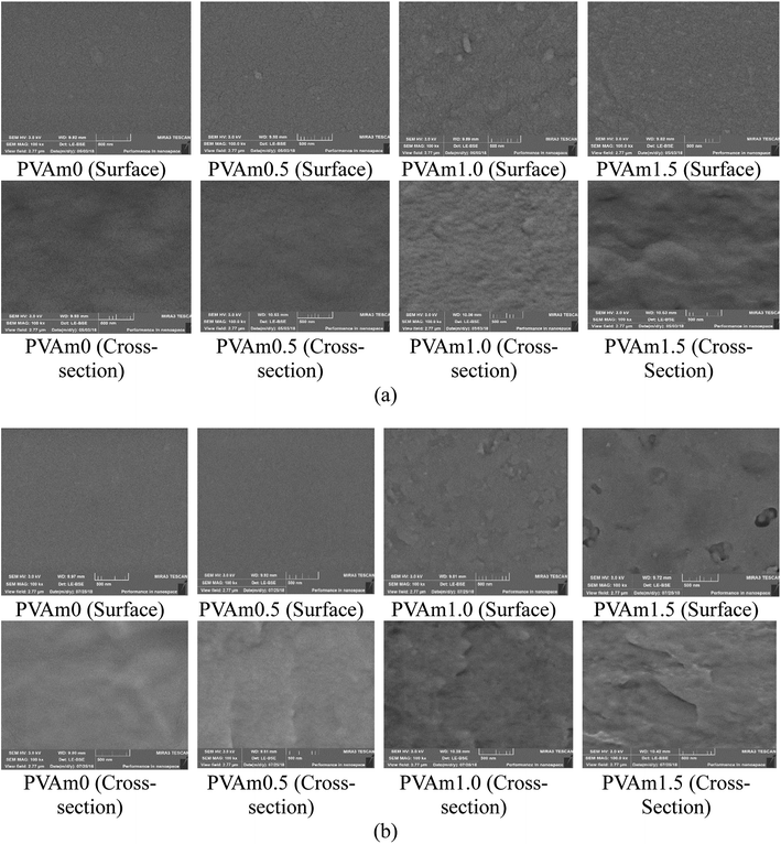 Stability and pervaporation characteristics of PVA and its blend with ...