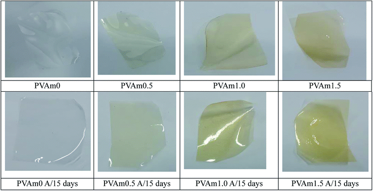 Stability and pervaporation characteristics of PVA and its blend with ...