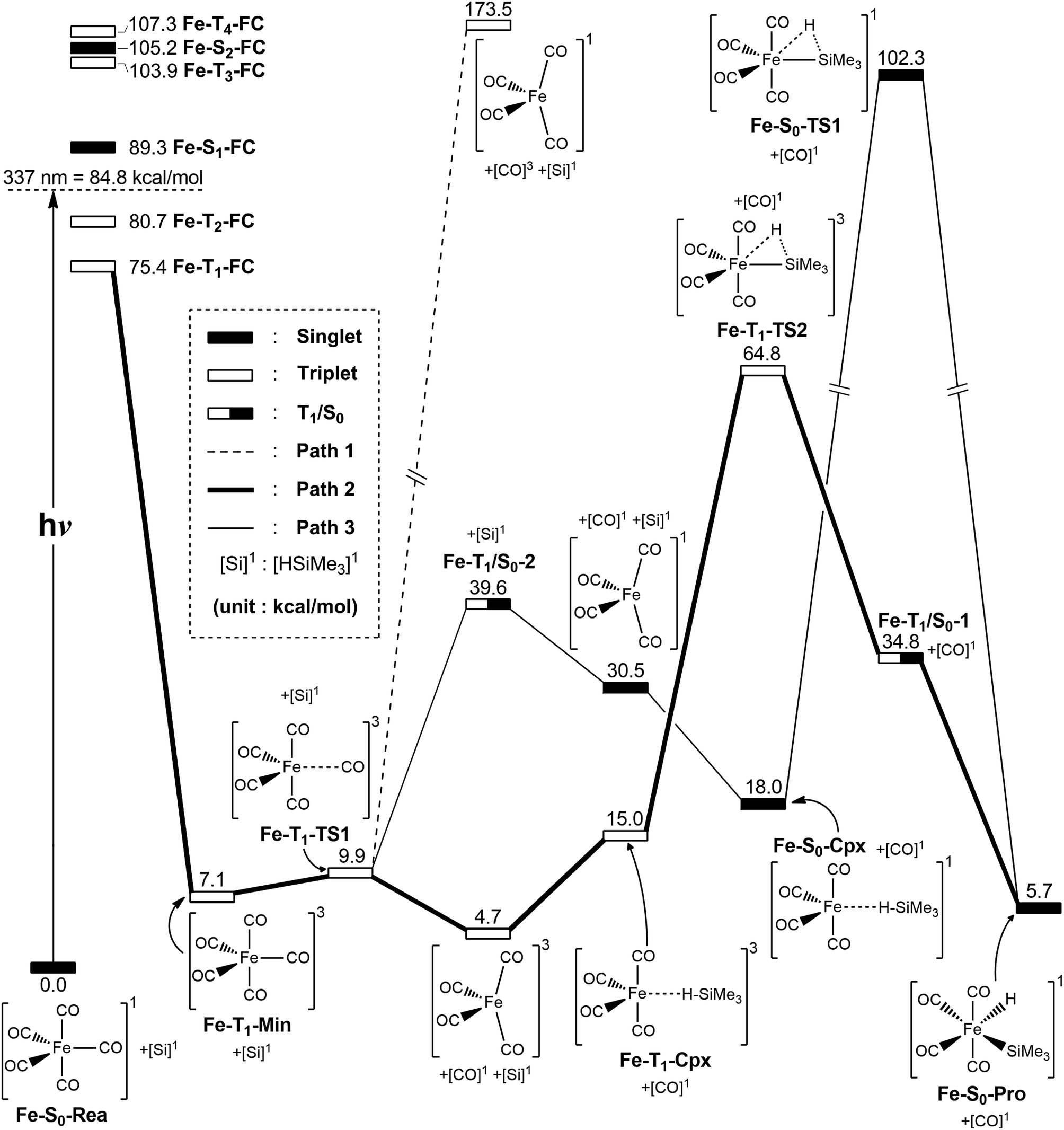 The mechanistic investigations of photochemical decarbonylations and ...