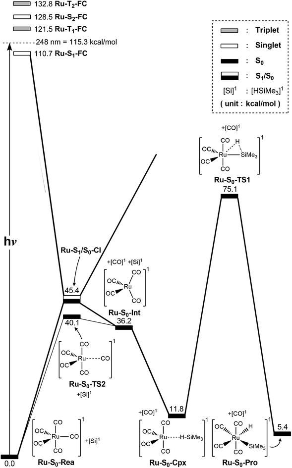 The mechanistic investigations of photochemical decarbonylations and ...