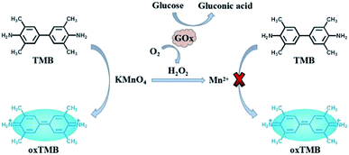 Highly efficient redox reaction between potassium permanganate and 3,3 ...