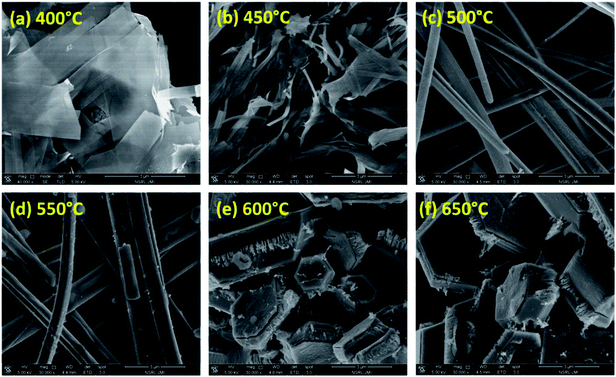 Influence of growth temperature on titanium sulphide nanostructures ...