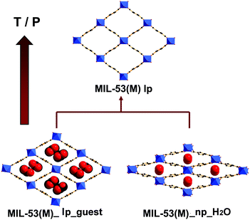 New functionalized MIL-53(In) solids: syntheses, characterization ...