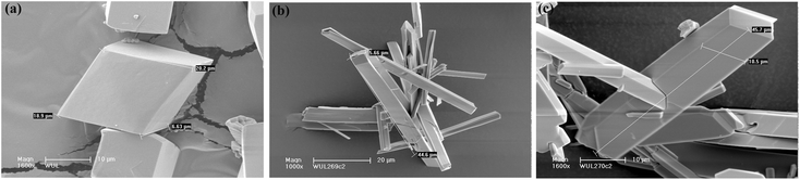 New functionalized MIL-53(In) solids: syntheses, characterization ...