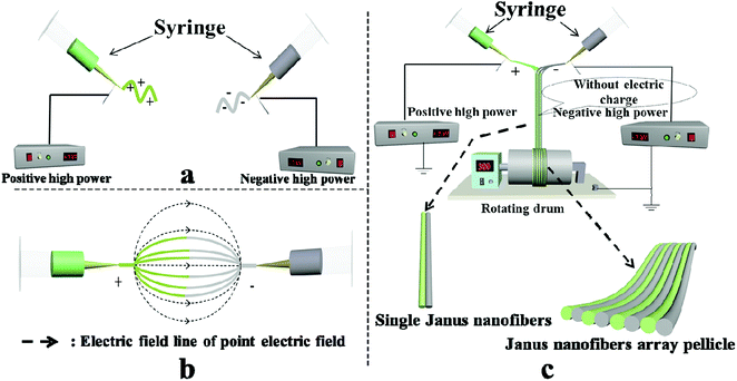 Janus nanofiber array pellicle: facile conjugate electrospinning ...