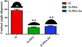 Bi-functional titanium-polydopamine-zinc coatings for infection ...