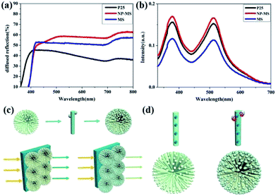 Hierarchical TiO 2 microspheres composed with nanoparticle-decorated ...