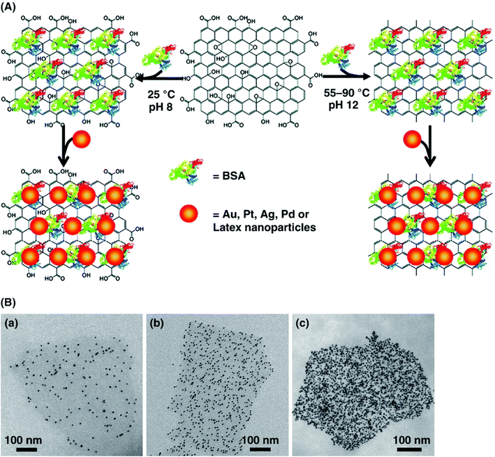 A review on graphene-based nanocomposites for electrochemical and ...