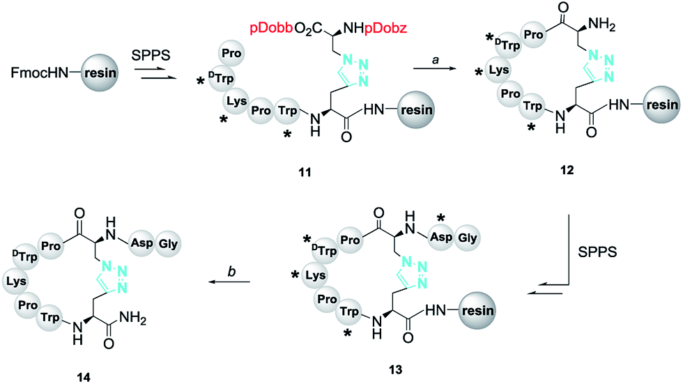 pDobz/pDobb protected diaminodiacid as a novel building block for ...