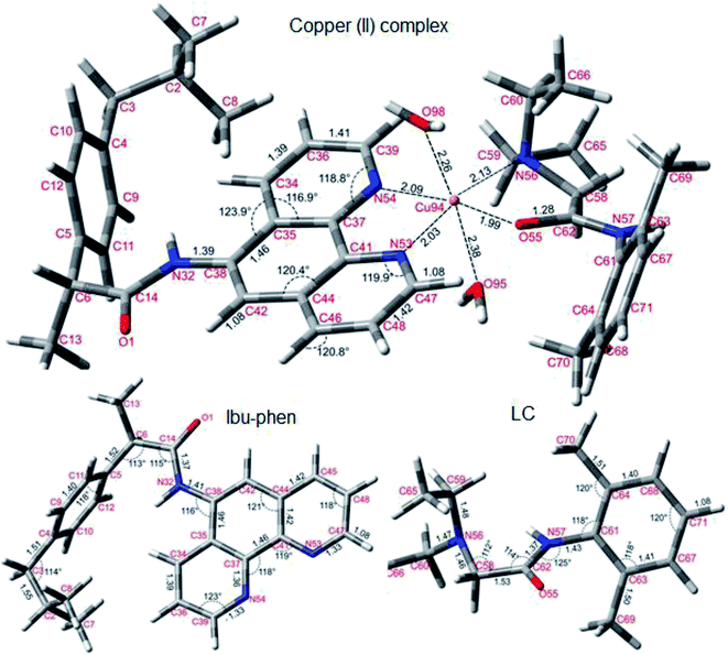 Experimental and theoretical evaluation on the antioxidant activity of ...