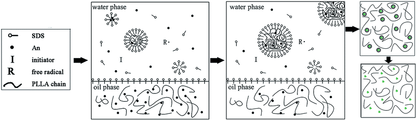 Fabrication and characterization of electrospun PLLA/PANI/TSA fibers ...