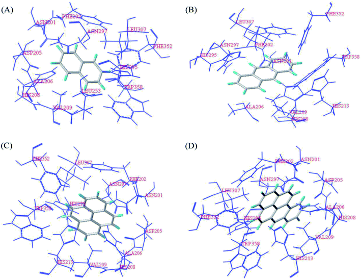 Combined molecular docking, homology modelling and density functional ...