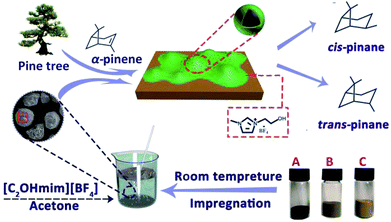 The conversion of α-pinene to cis -pinane using a nickel catalyst ...