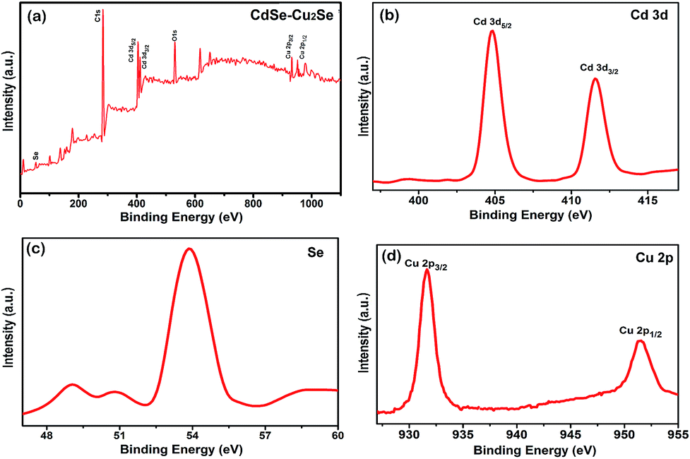 Photoinduced electron transfer in novel CdSe–Cu 2 Se type II core–shell ...