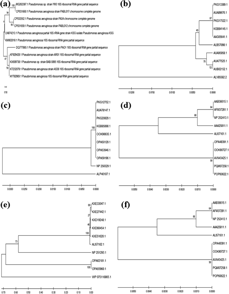 Combinatorial approach for screening and assessment of multiple ...