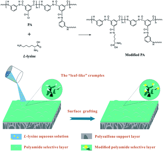 Enhancing the permeability and anti-fouling properties of a polyamide ...