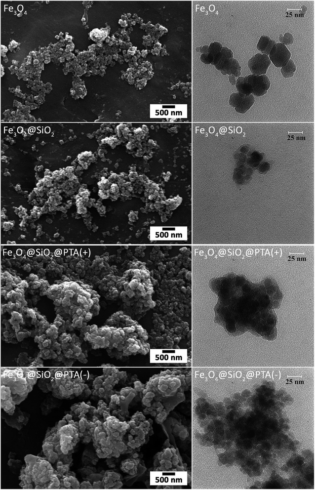 Decorated single-enantiomer phosphoramide-based silica/magnetic ...