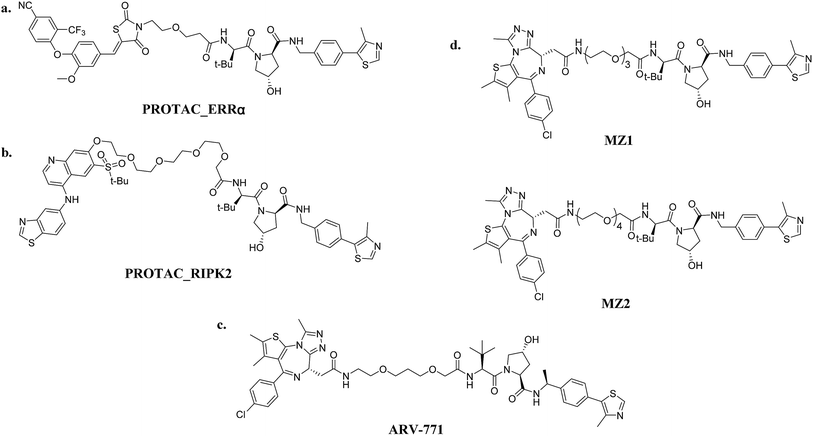 Small molecule PROTACs: an emerging technology for targeted therapy in ...